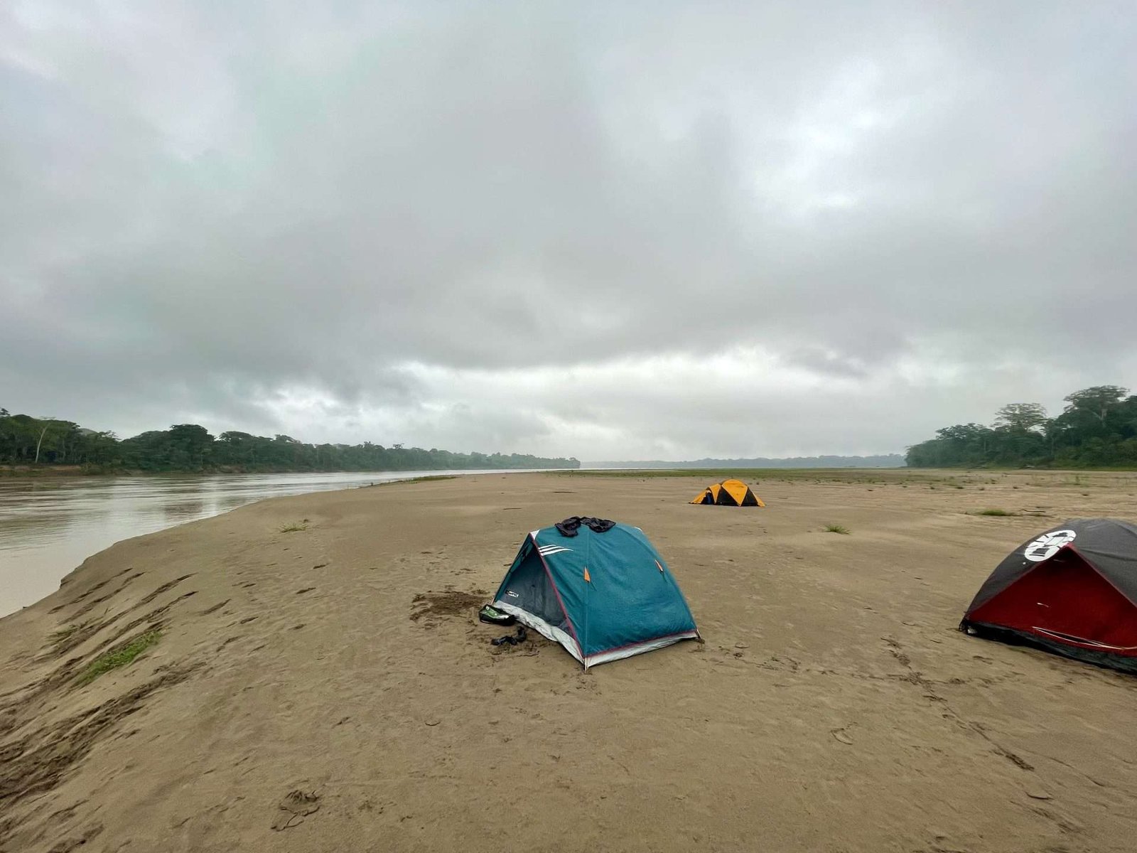 Monkey Island: How to Visit Monkey Island from Puerto Maldonado – In ...